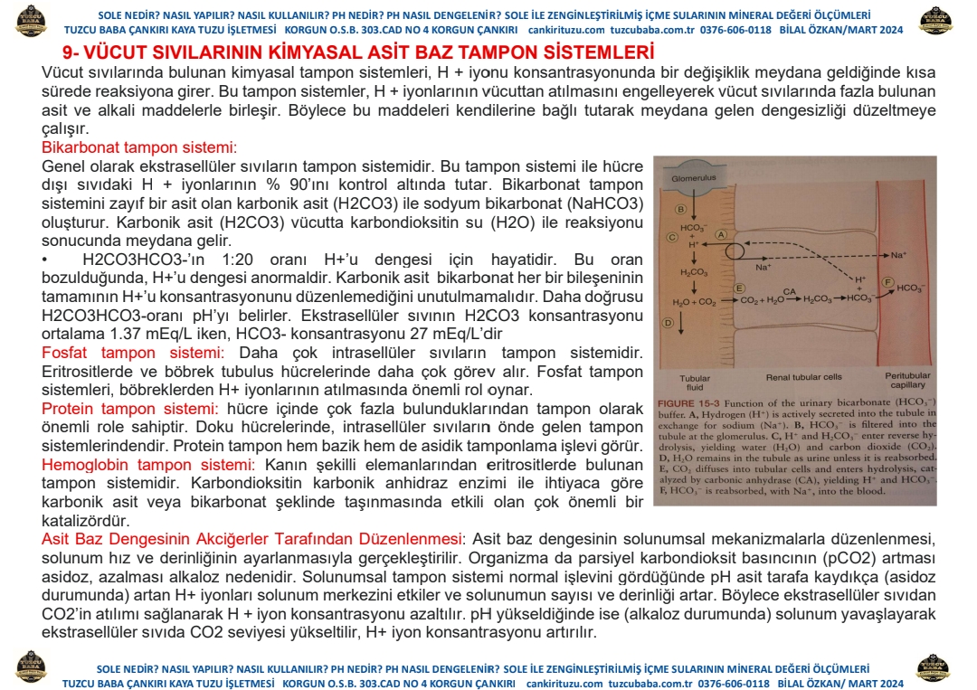 SOLE NEDEN YAPILIR? SOLE NASIL YAPILIR? SOLE NASIL KULLANILIR?